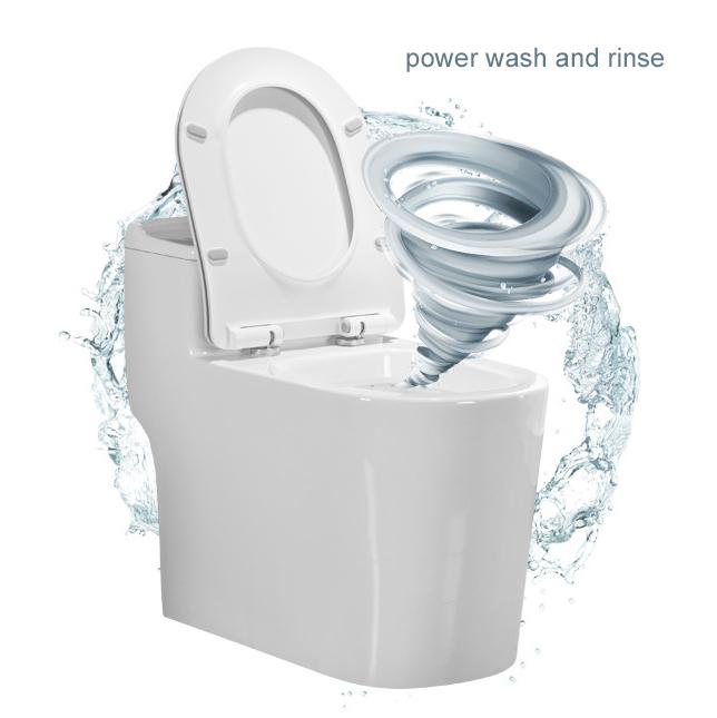 Popular Models Gravity Flushing One Piece Ceramic Rimless Wall Mounted WC