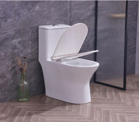 Ceramic Toilet factory, Buy good quality Ceramic Toilet products from China