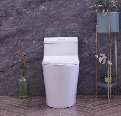 Ceramic Toilet factory, Buy good quality Ceramic Toilet products from China